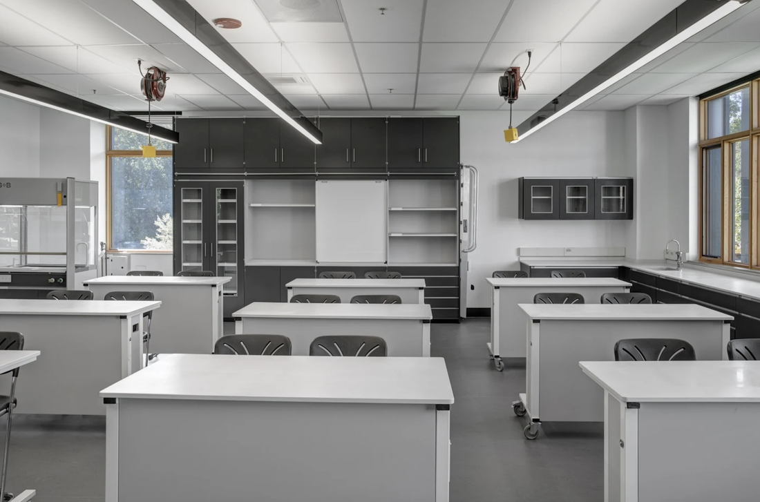 5 Practical Ideas to Maximize Lab Storage in Schools - S+B